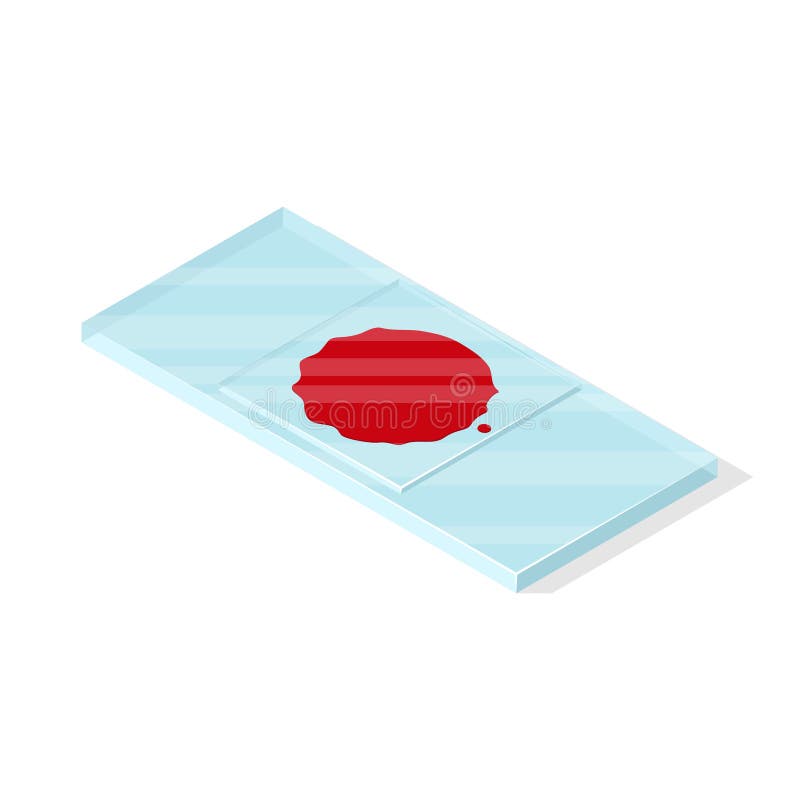 Blood on slide. stock vector. Illustration of hematology - 96625452