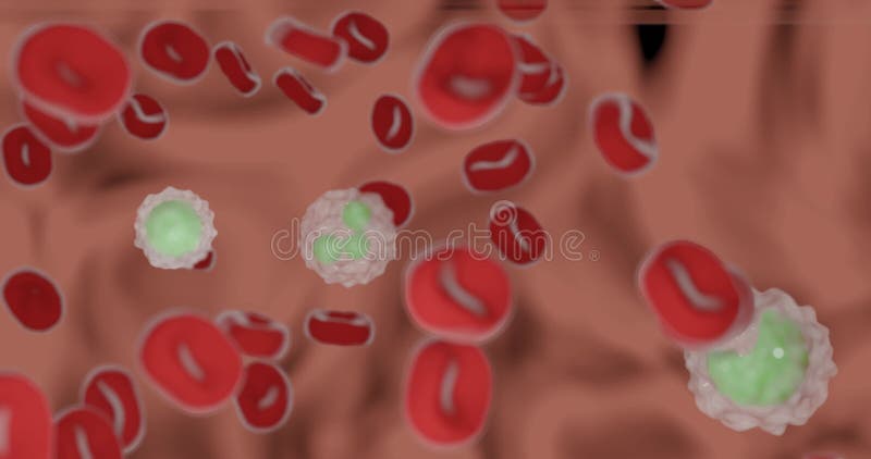 Blood Smear in 3d Animation Stock Video - Video of leukocytes, monocyte ...