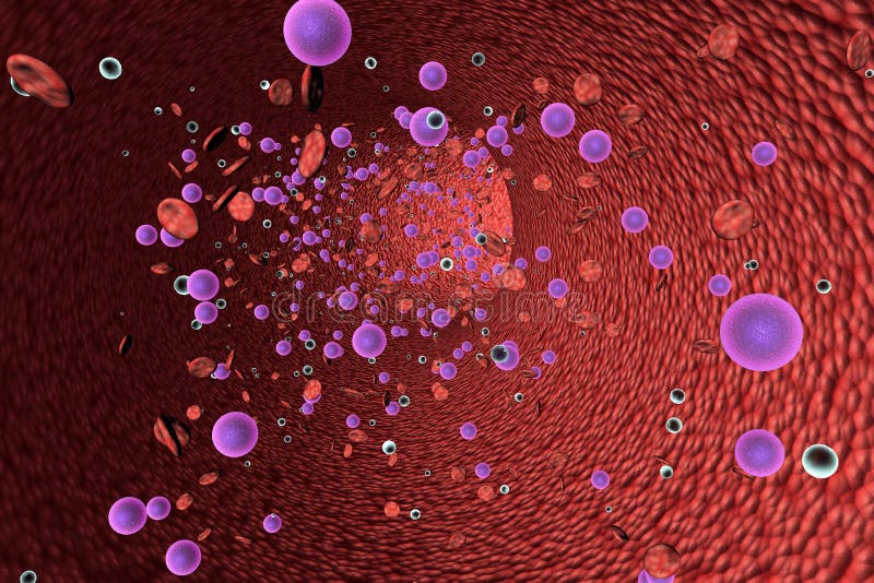 Blood Stream stock illustration. Illustration of cells - 9829544