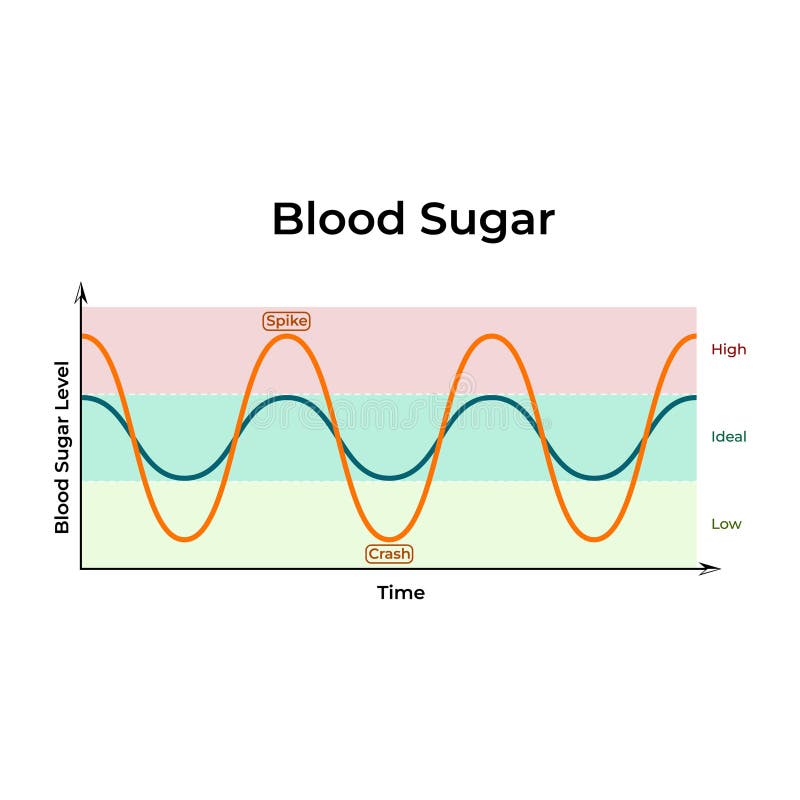 Blood Sugar Levels a Visual Representation Stock Vector - Illustration ...