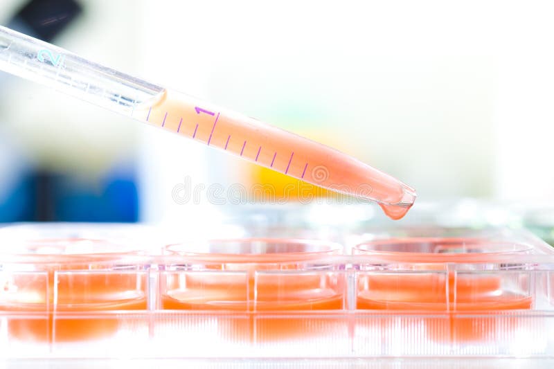 Blood test stock photo. Image of blood, research, multi - 22860070