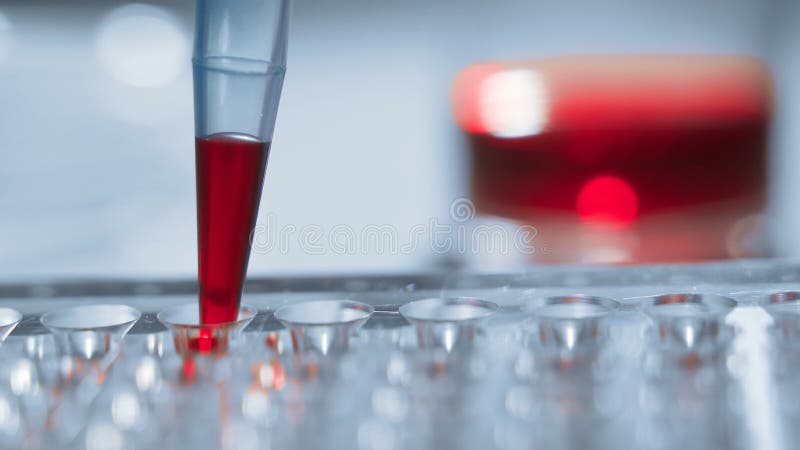 Blood Test. Pipette with Drop of Blood Stock Footage - Video of ...
