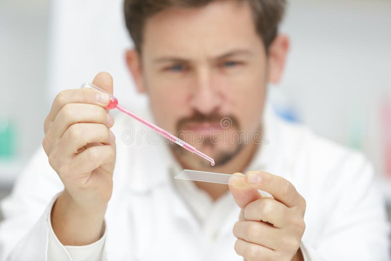 Blood test sample in lab stock photo. Image of scientist - 275396300