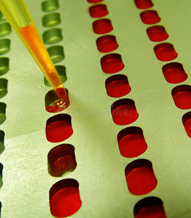 Blood testing in the lab stock image. Image of sick, patient - 14584179