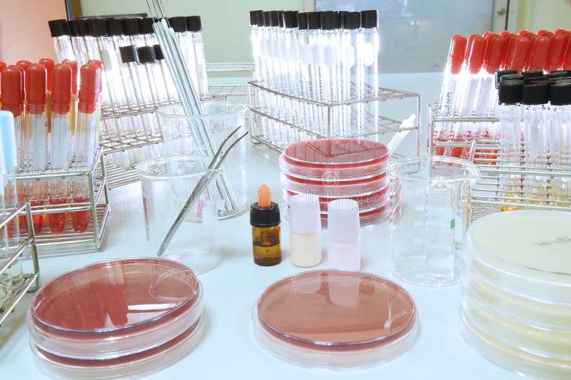 Blood Testing in Laboratory Stock Image - Image of hospital, experiment ...