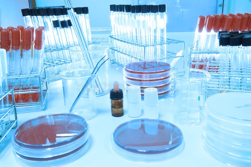 Blood Testing in Laboratory Stock Photo - Image of clinical, medicine ...