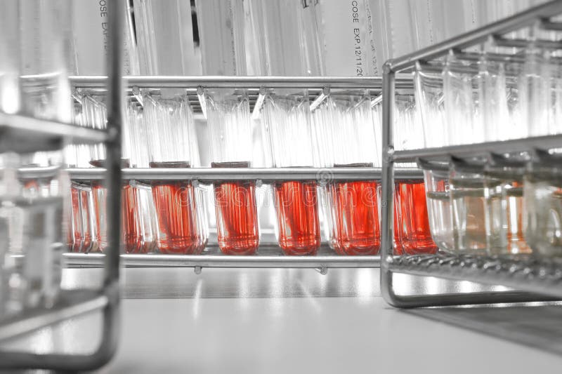 Blood Testing in Laboratory Stock Image - Image of hospital ...