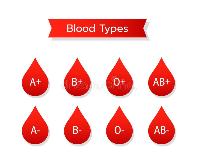 Blood Type Vector Stock Illustrations – 4,565 Blood Type Vector Stock ...