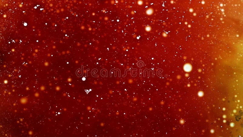 Blood Under a Microscope. Fluid Movement. Stock Footage - Video of ...