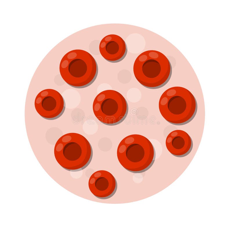 Blood Under the Microscope. Red Cell Analysis Stock Vector ...