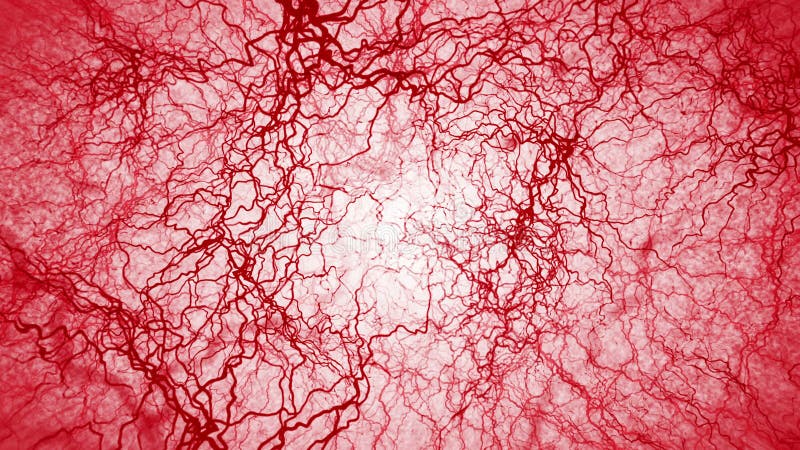 3D Loop Animation of Human Blood Vessel. Red Capillaries. Eye Blood on ...