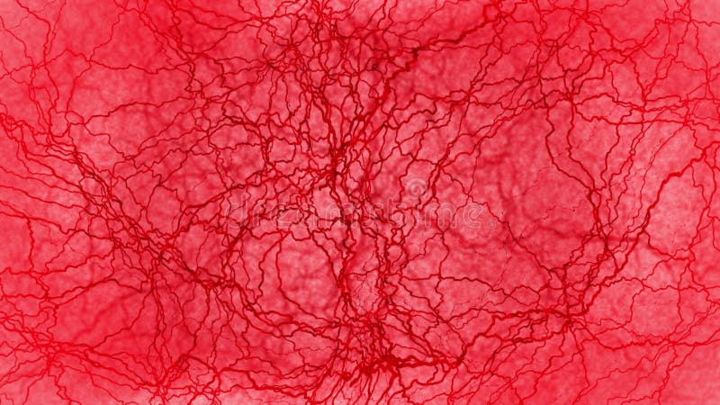 3D Loop Animation of Human Blood Vessel. Red Capillaries. Eye Blood on ...