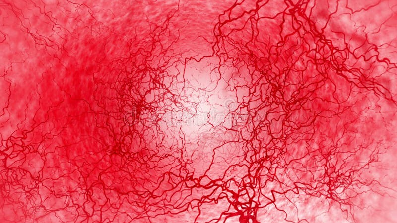 3D Loop Animation of Human Blood Vessel. Red Capillaries. Eye Blood on ...