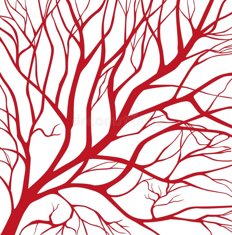 Blood Veins Pattern Stock Illustrations – 279 Blood Veins Pattern Stock ...