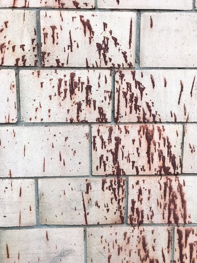 833 Blood Spots Photos - Free & Royalty-Free Stock Photos from Dreamstime