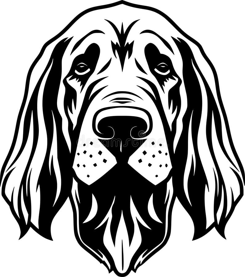 Bloodhound - Black and White Isolated Icon - Vector Illustration Stock ...