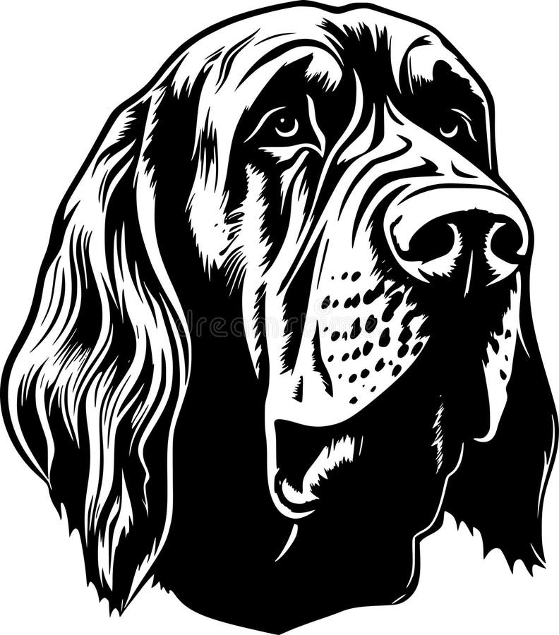 Bloodhound - Black and White Isolated Icon - Vector Illustration Stock ...