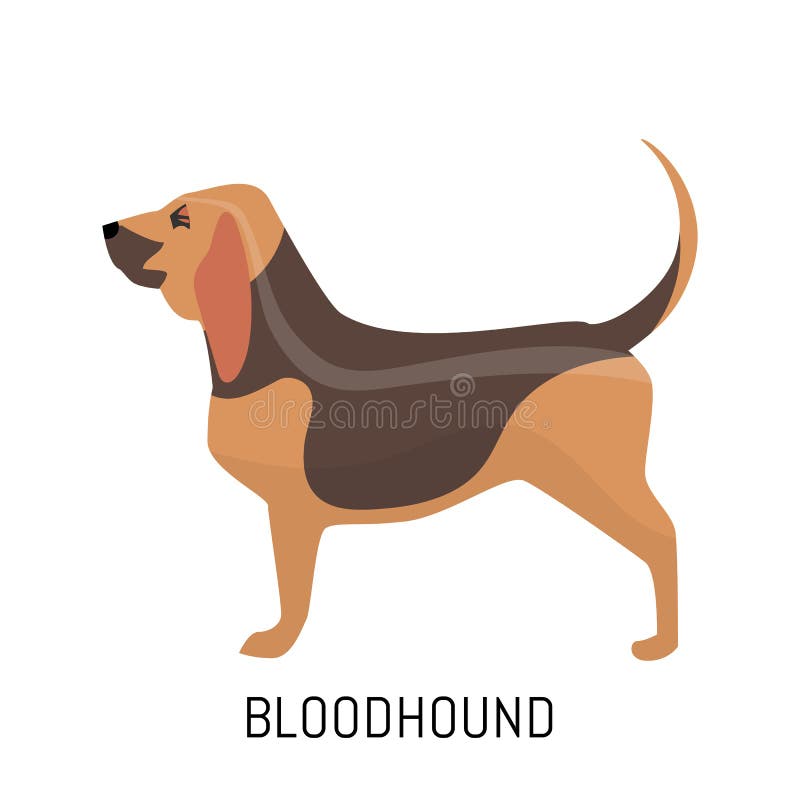 Bloodhound Stock Illustrations – 498 Bloodhound Stock Illustrations ...