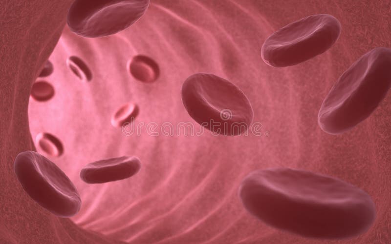 Bloodstream stock image. Image of vessels, venous, bloodstream - 35894079