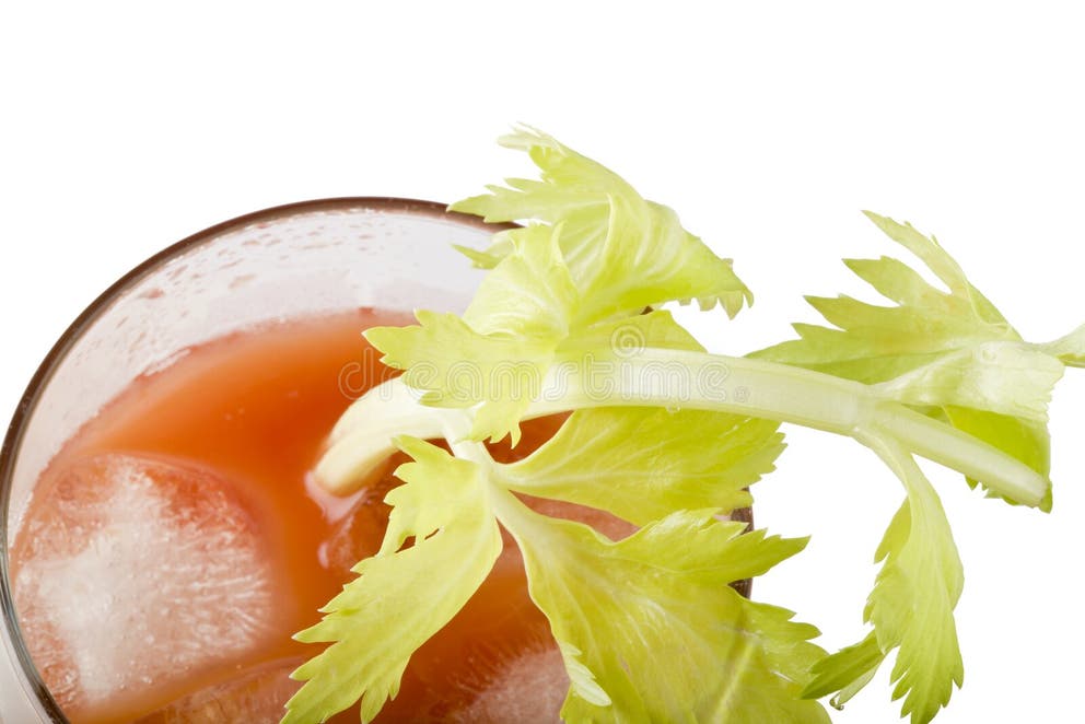 Bloody mary stock photo. Image of fresh, white, smoothie - 19419870