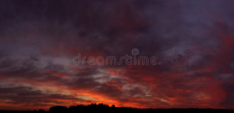 Bloody sunset stock image. Image of forest, bloody, panorama - 76282011