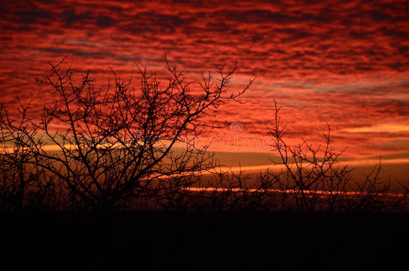 Bloody sunset on the sea stock photo. Image of outstanding - 136534042