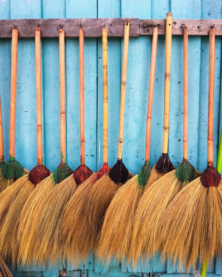 Bloom stock photo. Image of swab, equipment, bloom, cleaning - 42614318