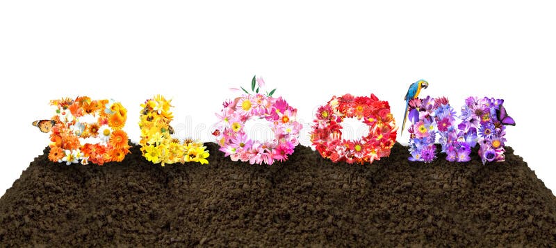 Bloom Flower Typography stock image. Illustration of text - 56832729