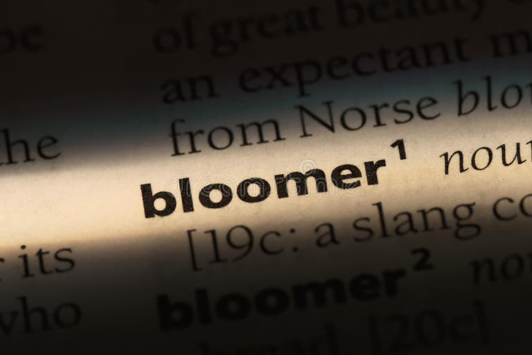 Bloomer stock image. Image of isolated, definition, word - 114411255