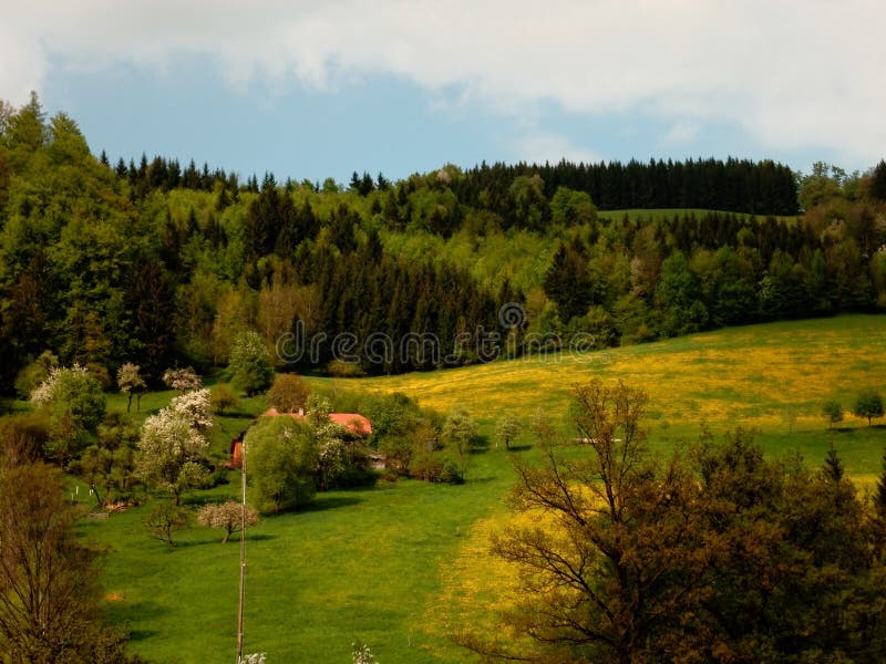 Blooming alpine meadows stock image. Image of houses - 36050593
