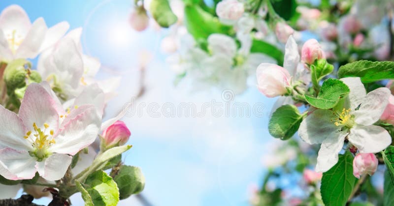 2,539 April Header Stock Photos - Free & Royalty-Free Stock Photos from ...
