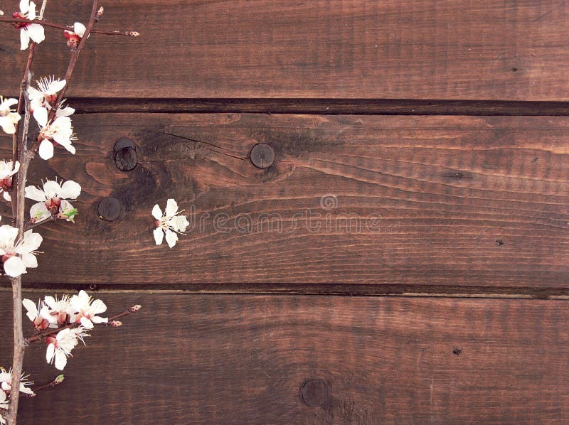 Rustic Greenspring Backgrounds