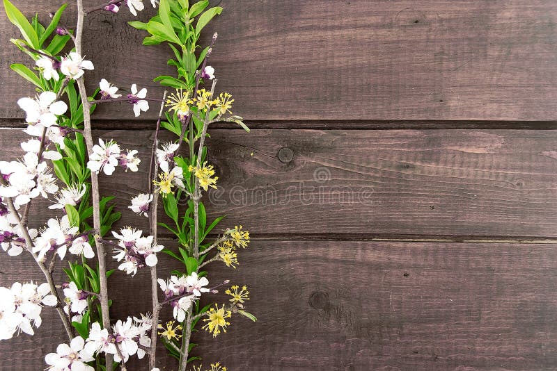 Rustic Spring Flower Wallpaper
