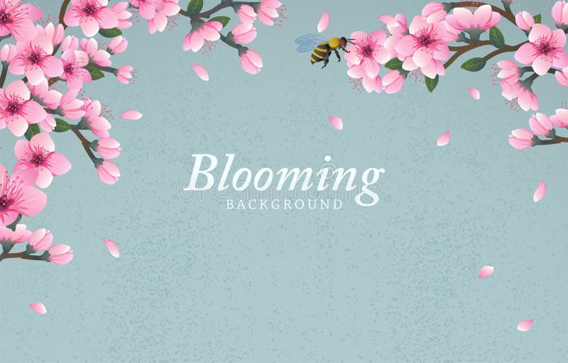 Blooming Background with Cheery Blossom Flowers Stock Vector ...