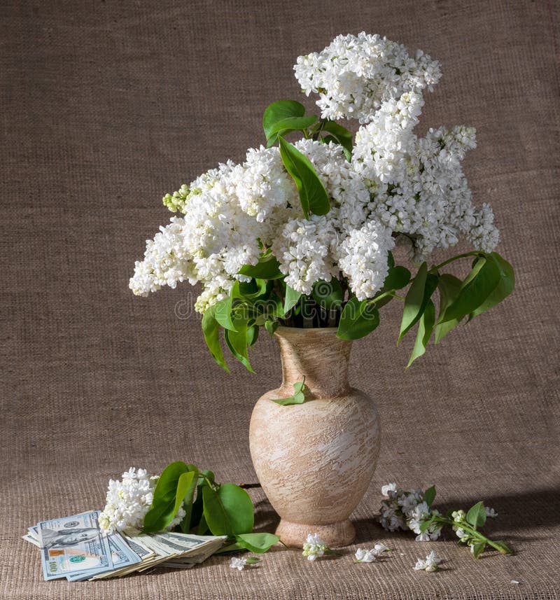 Blooming Branches of Lilac in Vase and Dollars Stock Photo - Image of ...