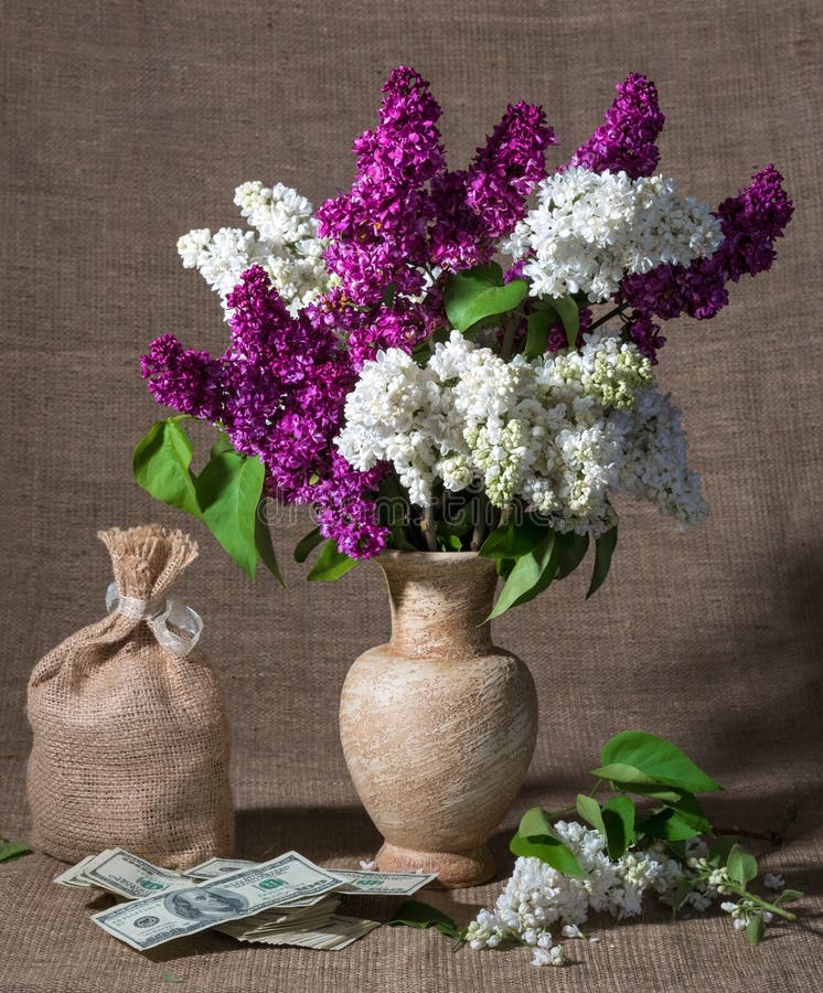 Blooming Branches of Lilac in Vase and Dollars Stock Photo - Image of ...