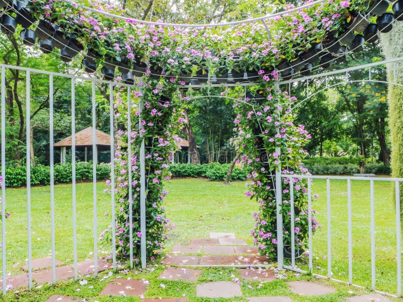 Blooming flower arch stock image. Image of fresh, flower - 53230869