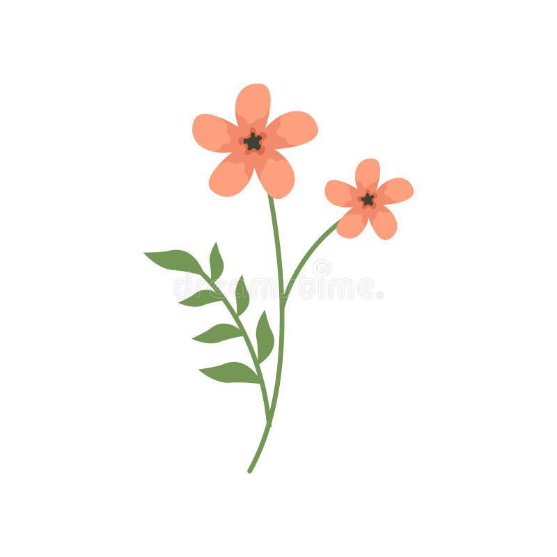 Blooming Flower Printable Decor Vector Illustration Design Stock ...