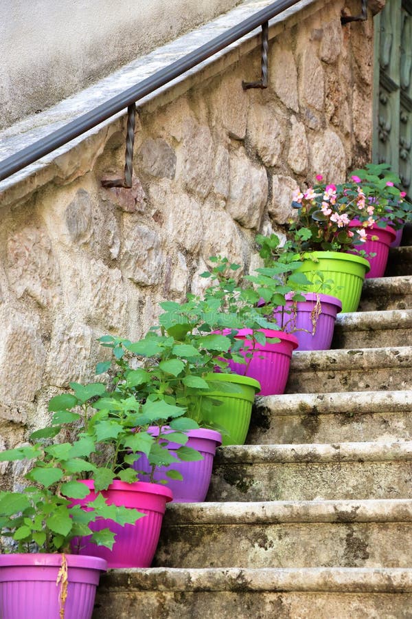 Blooming Flowers in Pots Sitting on Stone Steps Editorial Stock Photo ...