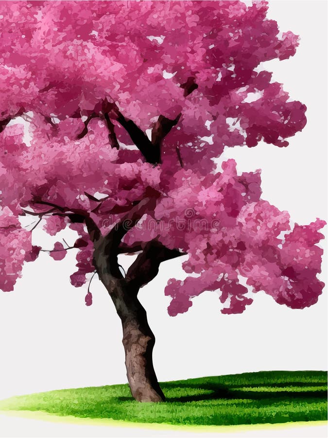 Blooming Flowers or Sakura, Cherry Tree View Isolated on Background Stock Vector - Illustration ...