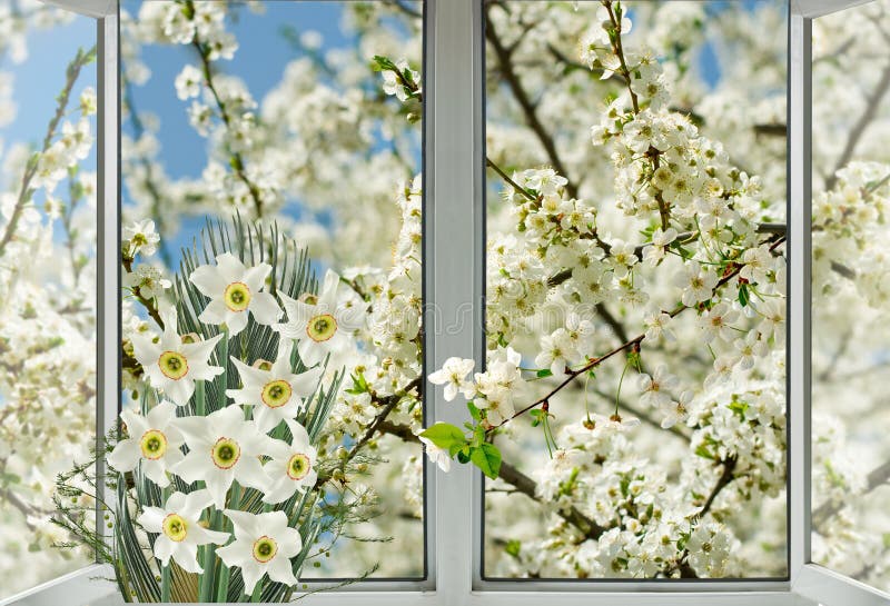 Blooming Garden Behind an Open Window. View from the Window on ...