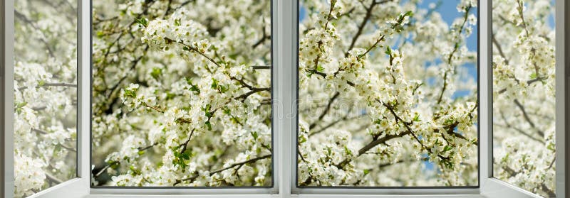 Blooming Garden Behind an Open Window. View from the Window on ...