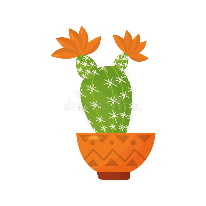 Blooming House Plant on a White Background Stock Illustration ...