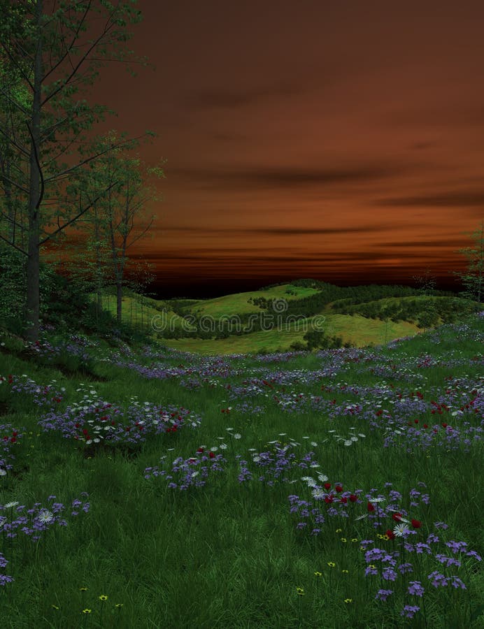 Blooming Lawn with Greenery and Flowers at Night Stock Illustration ...