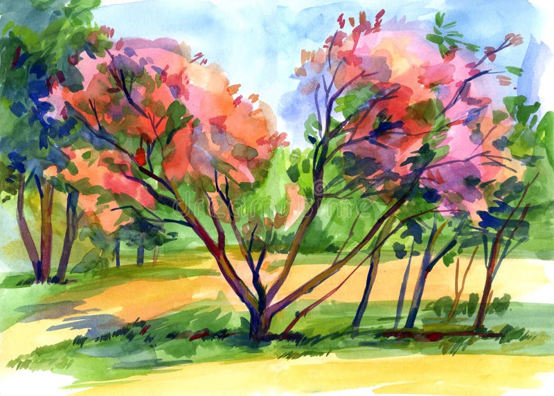 Blooming Pink Tree. Landscape. Drawing with Watercolor Stock ...