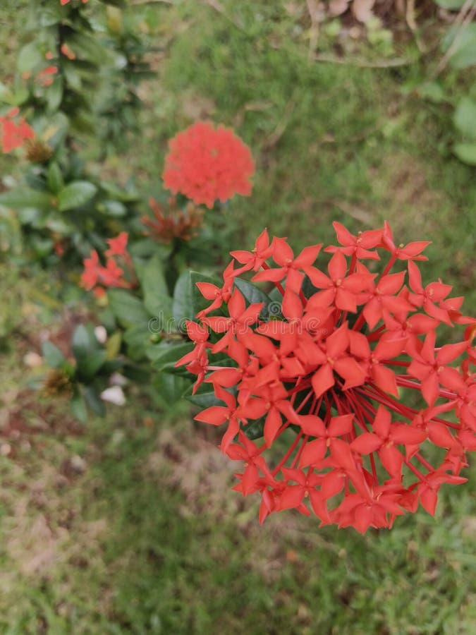 Unic Shape Stock Photos - Free & Royalty-Free Stock Photos from Dreamstime