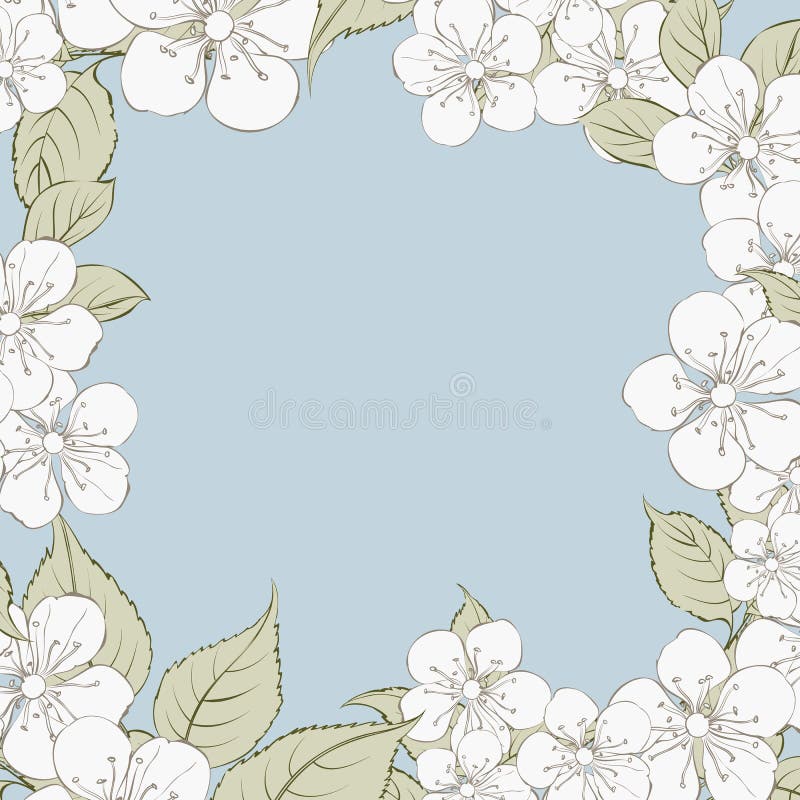 Blooming Sakura Rectangle Frame. Stock Vector - Illustration of border ...