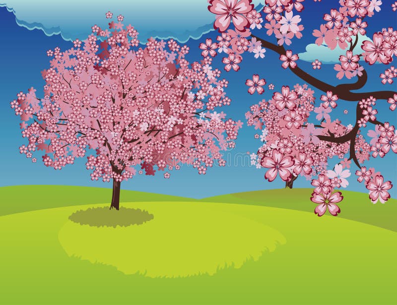 Blooming Sakura Tree on Lawn Stock Vector - Illustration of natural ...