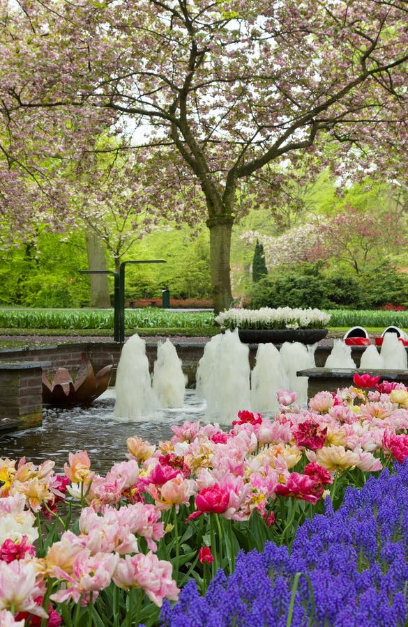 Wonderful Blooming Spring Garden in April Stock Photo - Image of ...