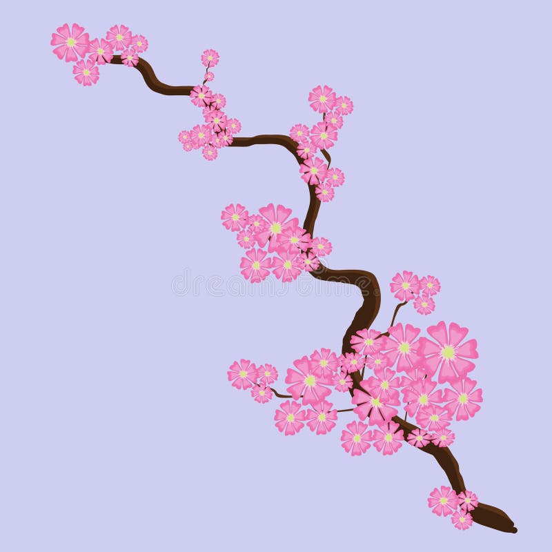 Blooming Spring Sakura Branch on a Blue Background Stock Vector ...